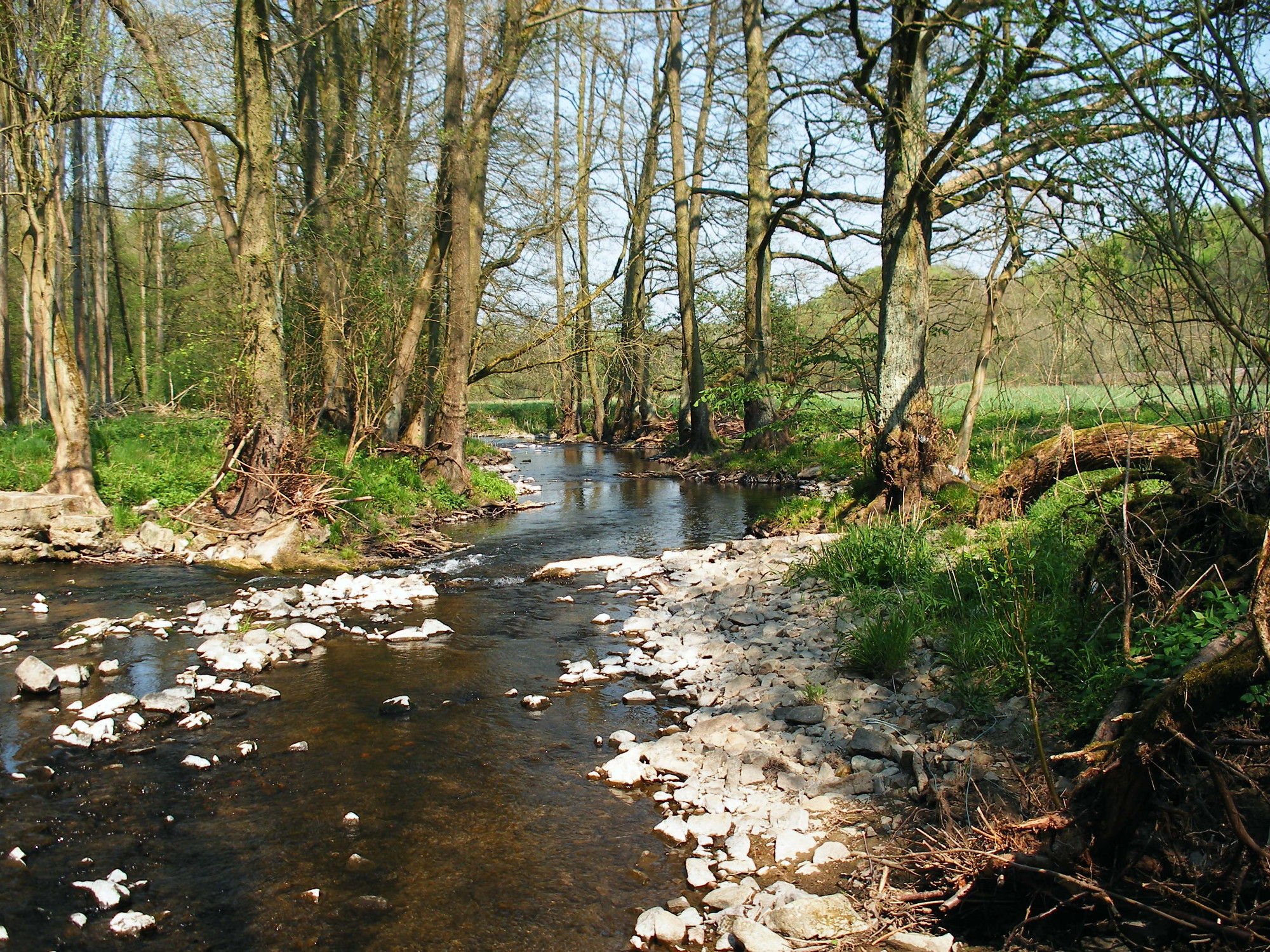 Gewaesser – Wasser im Fluss