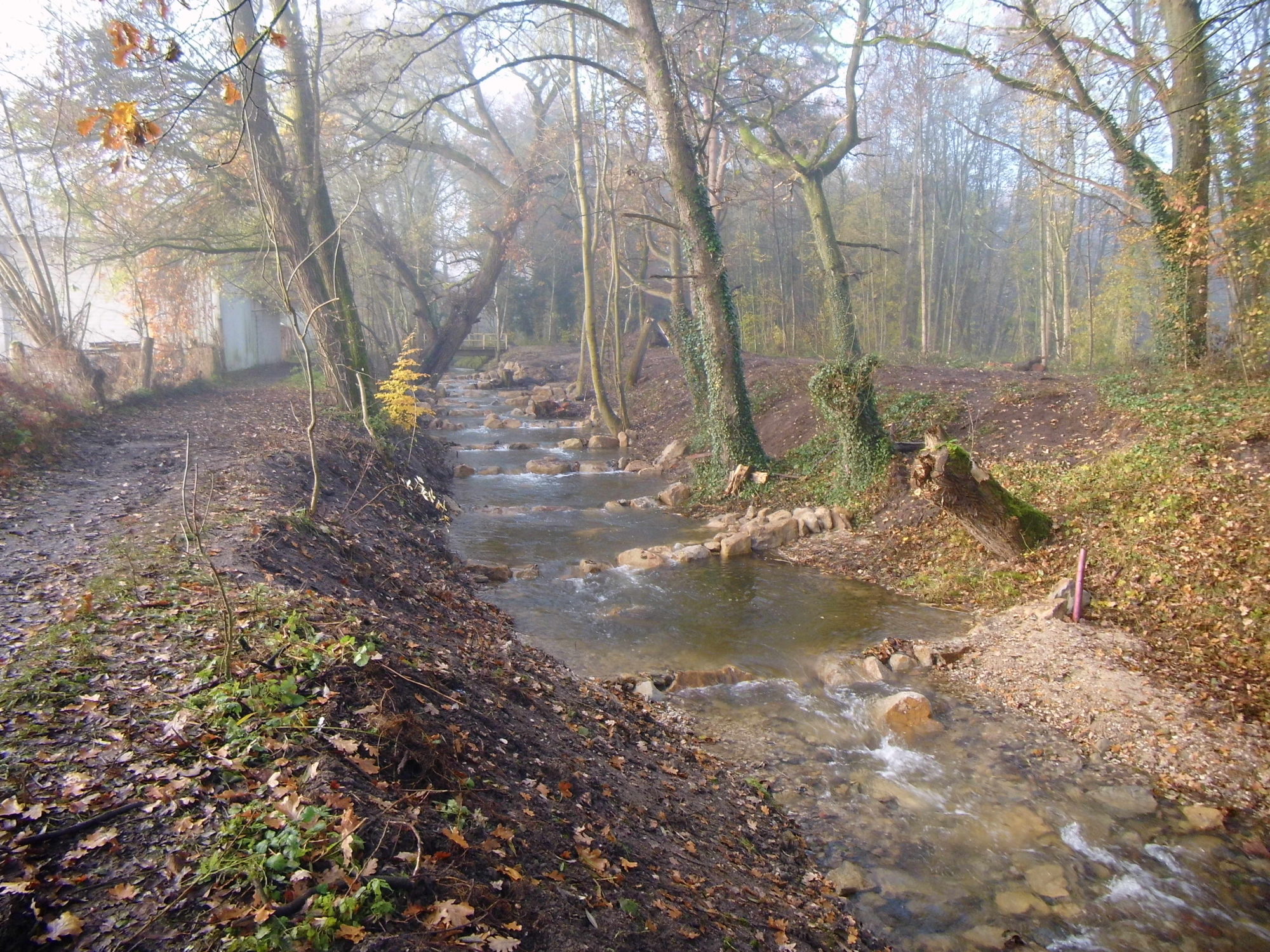 Wasser im Fluss – Kommunales Integrationsprojekt – Naturnahe ...